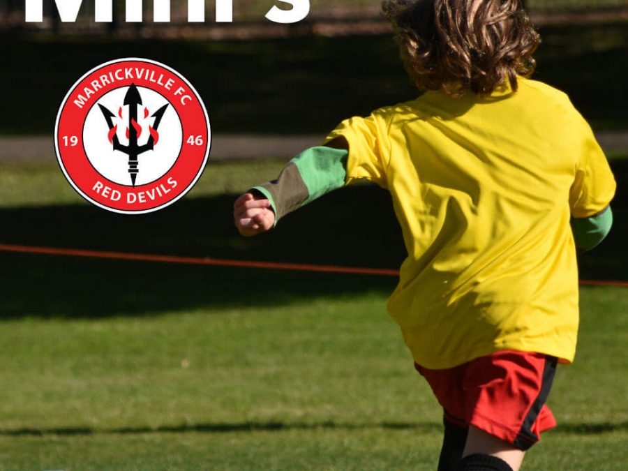 Mini Roos Coaching Certificate – Marrickville Football Club